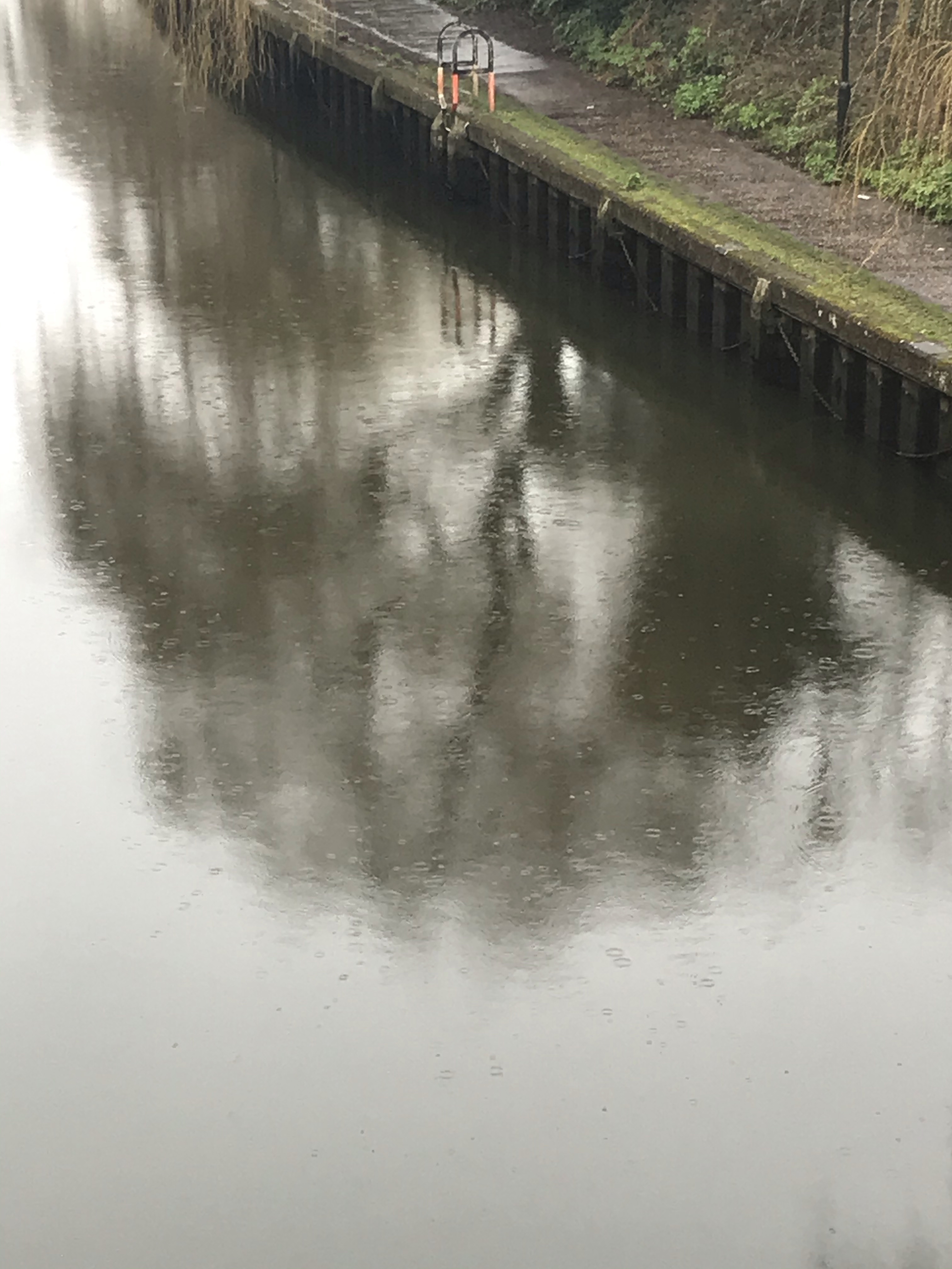 L3 (Day 61): Carrow Bridge – Journey of Words