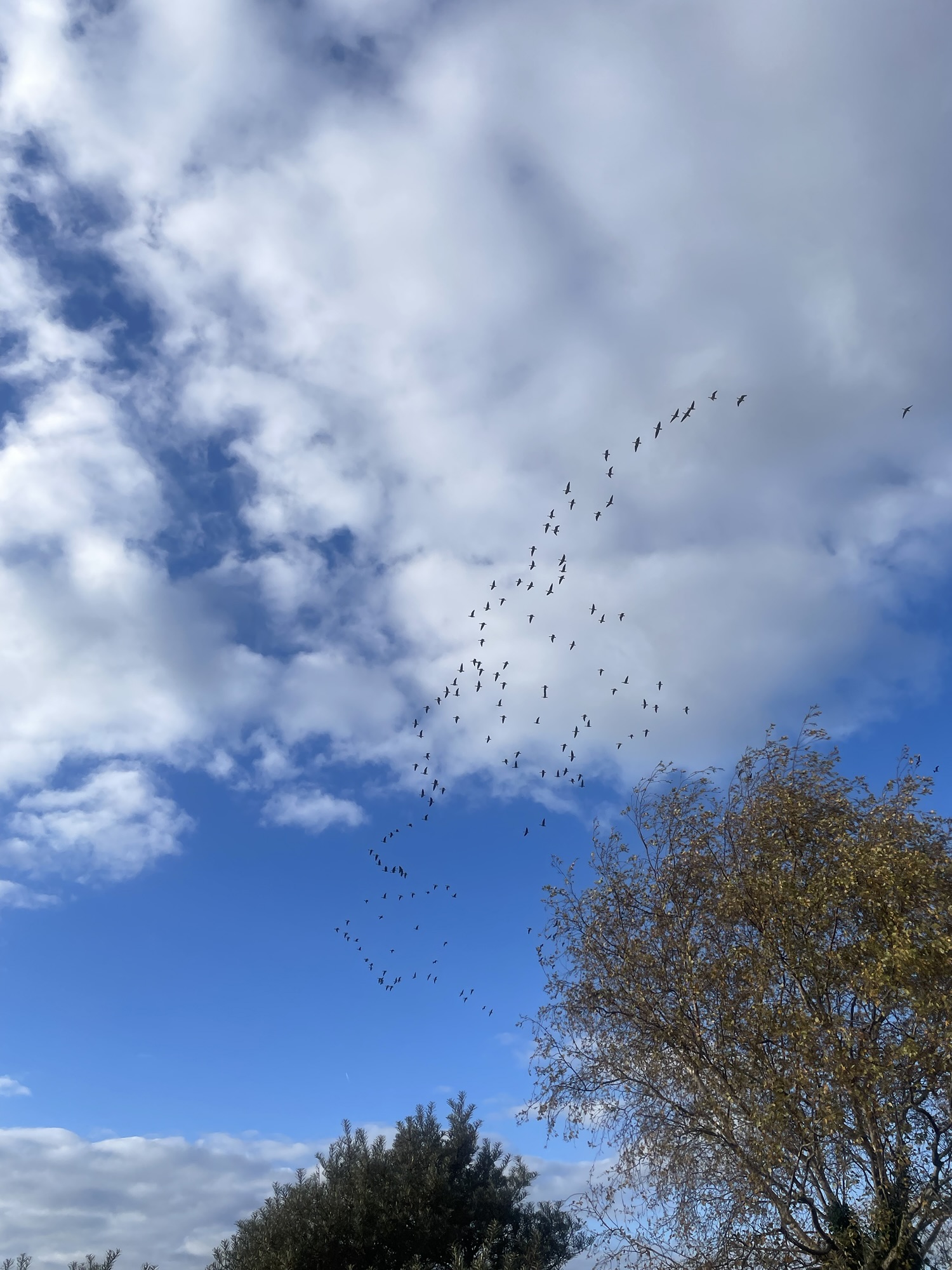 on sound – Journey of Words